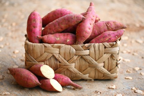 Māori Food Culture – Traditions, Ingredients & Foraging