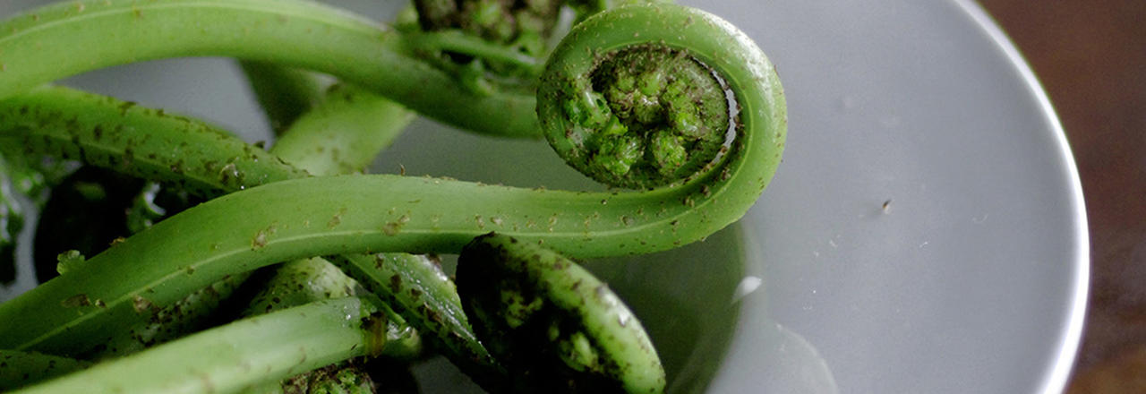 Māori Food Culture – Traditions, Ingredients & Foraging